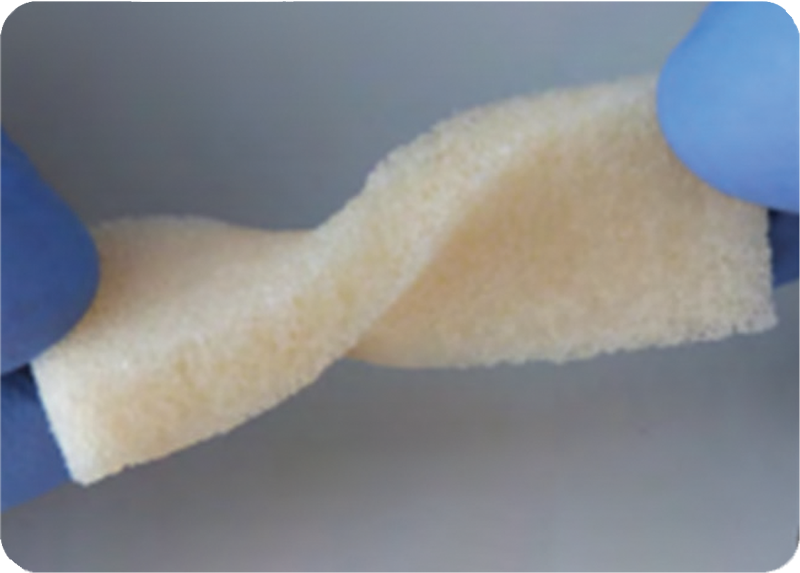 Promote OsteoStrip® – AllianceSpine™